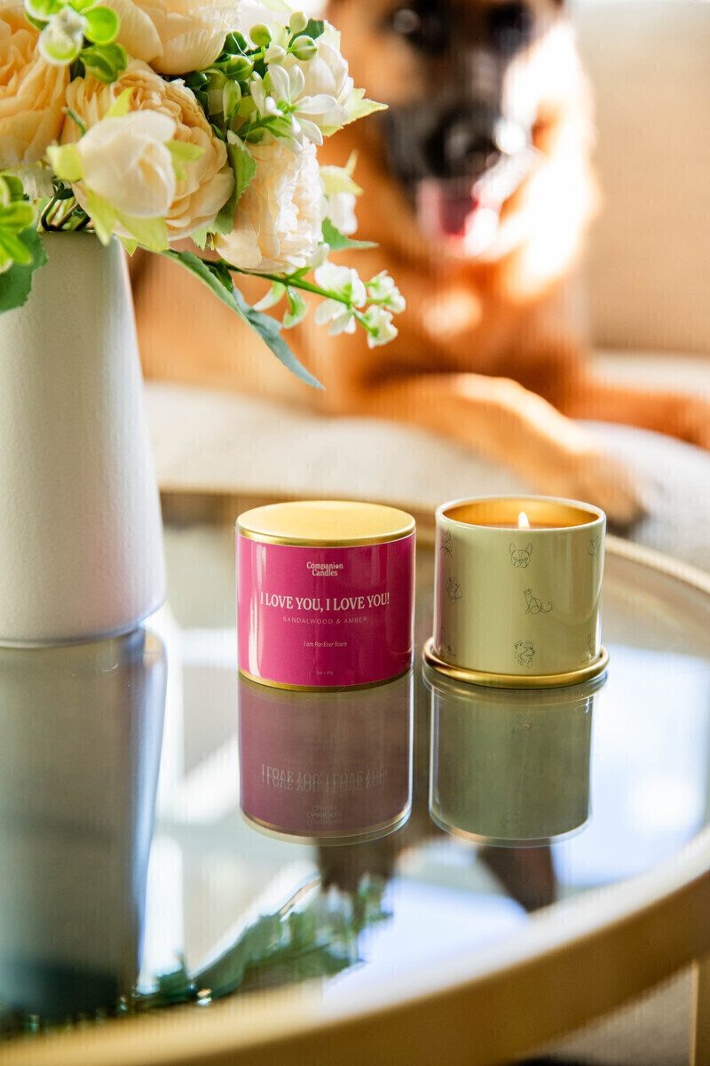 Scent Finder – Companion Candles